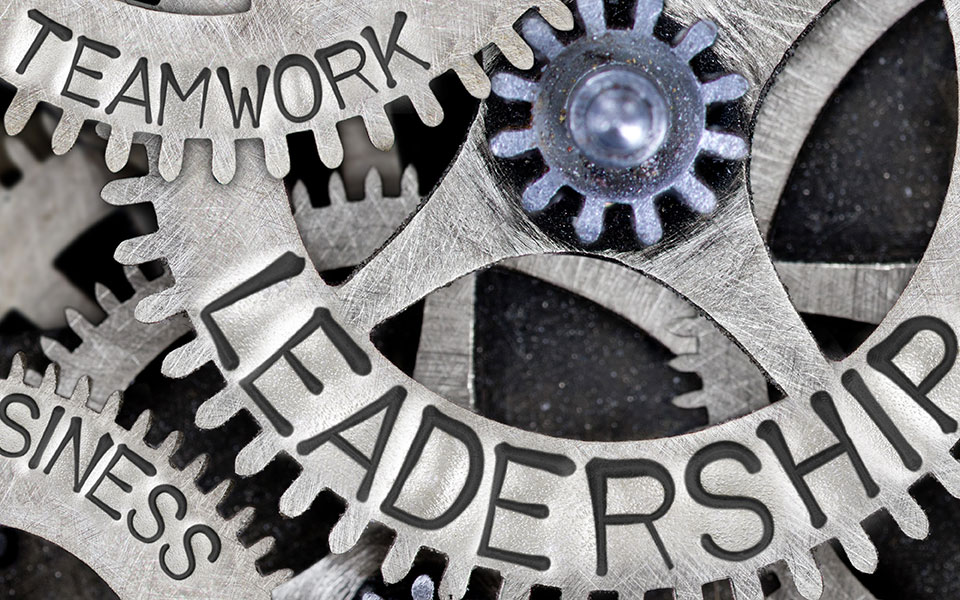 Evolve Your Organization: Organizational Culture Consulting